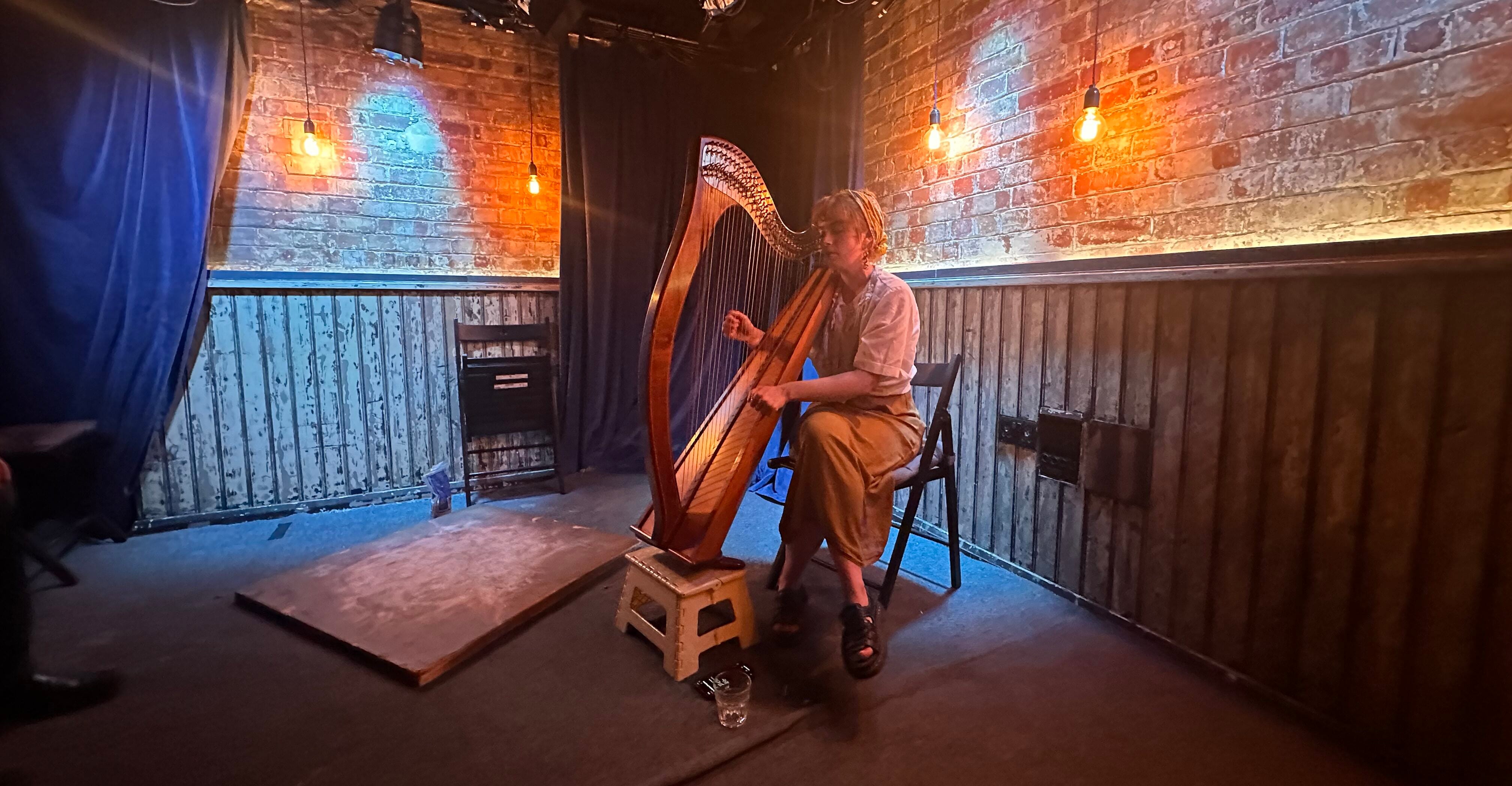 Standard membership - Join the Independent Society of Musicians